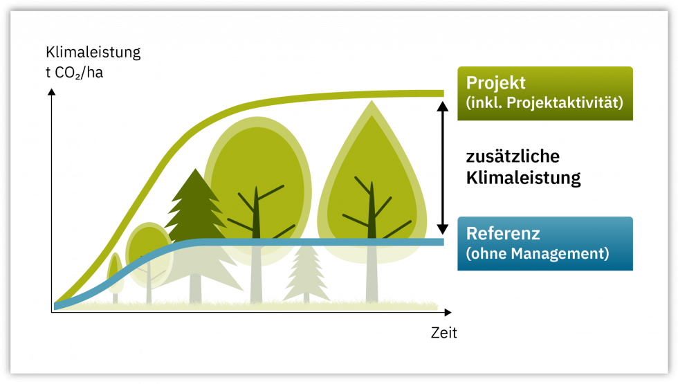 Projektentwicklung – Waldklima Standard – Lokale Wälder für globalen ...